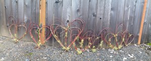 DIY rustic heart wreath in 10 easy steps